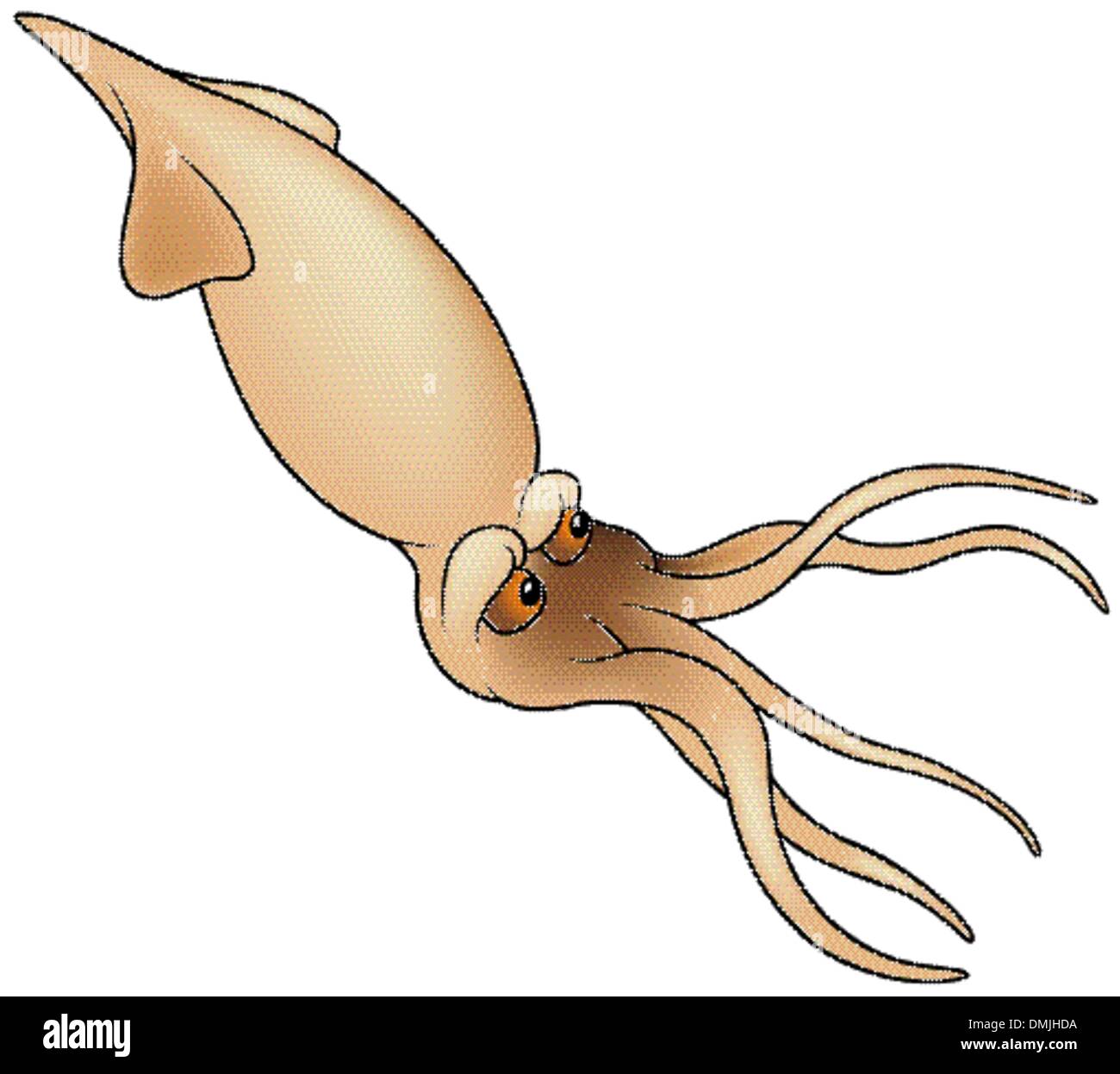 Tentacule de seiche Banque d'images vectorielles - Alamy