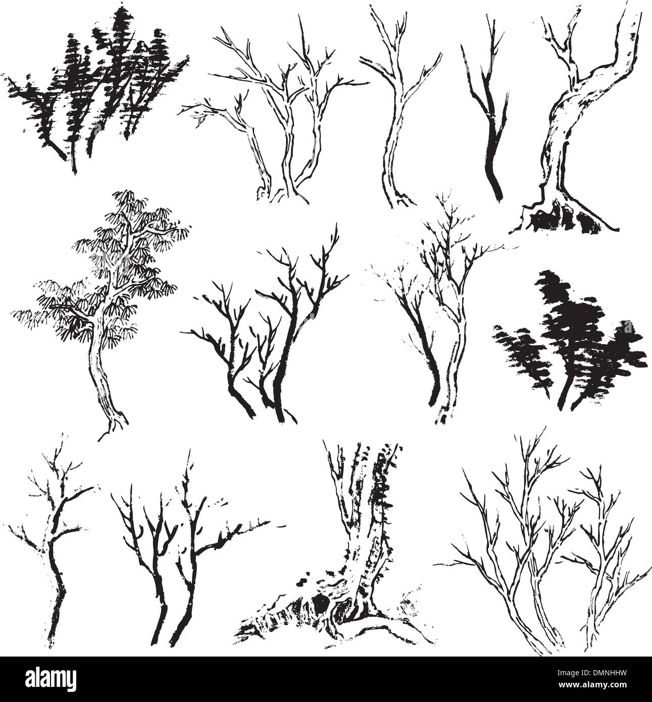 Arbre Dessin Banque d'image et photos - Alamy