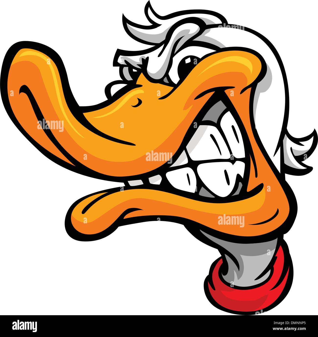 Tête de canard colvert ou Vector Cartoon Image Vectorielle Stock - Alamy