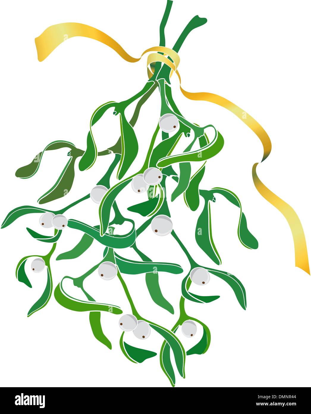 Bouquet de gui Banque de photographies et d’images à haute résolution ...