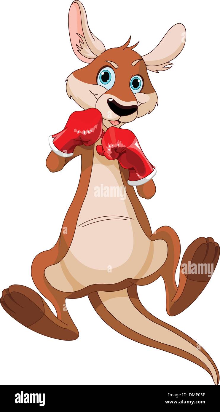 Combat de kangourou Banque d'images vectorielles - Alamy