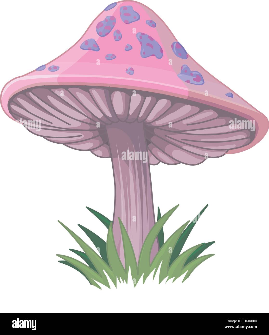 Champignon magique Banque de photographies et d’images à haute ...