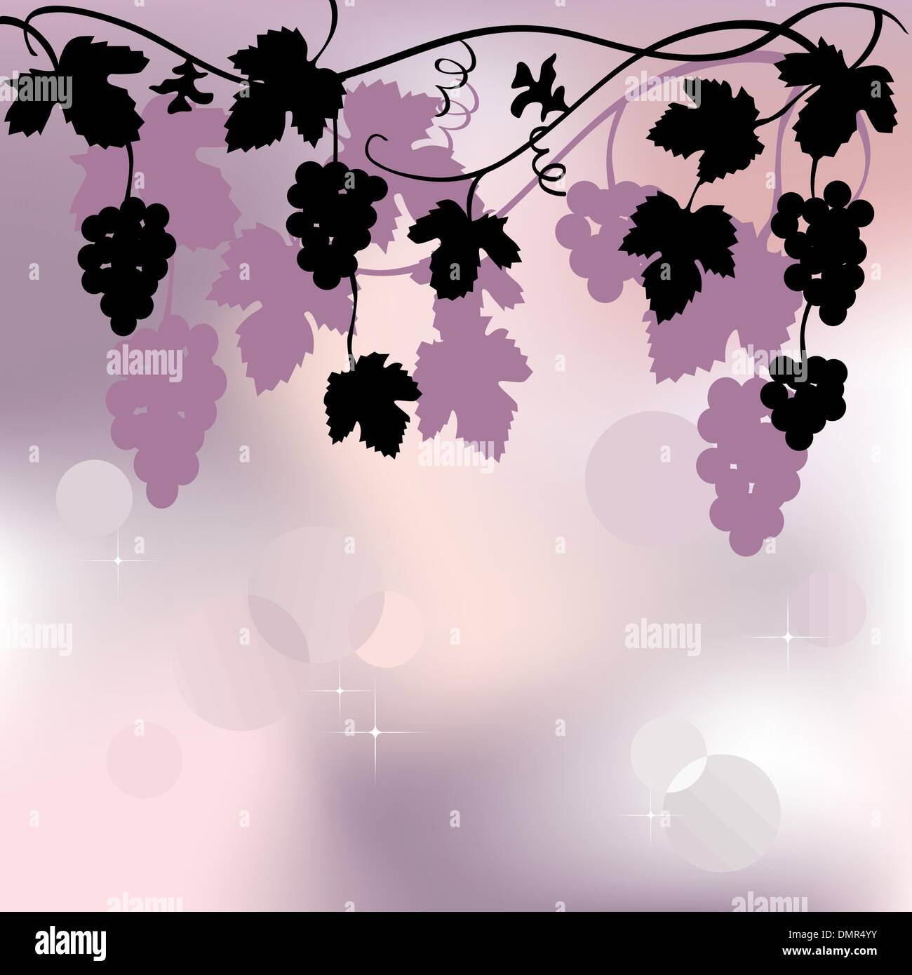 Grappe de raisin Banque d'images vectorielles - Alamy