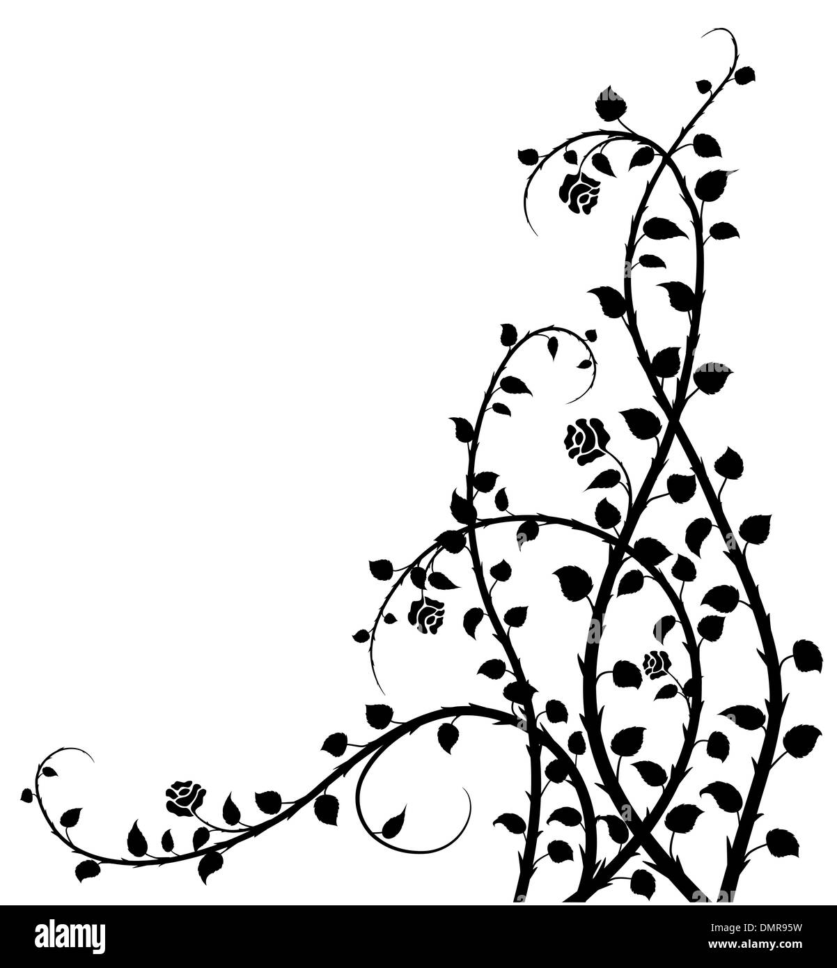 Dessin de rosier Banque de photographies et d’images à haute résolution ...