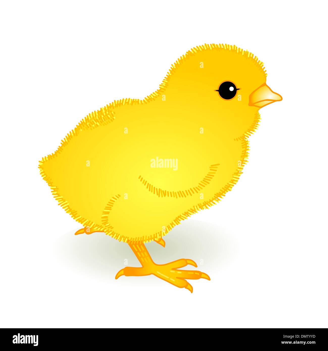 Poussin jaune Banque d'images vectorielles - Alamy