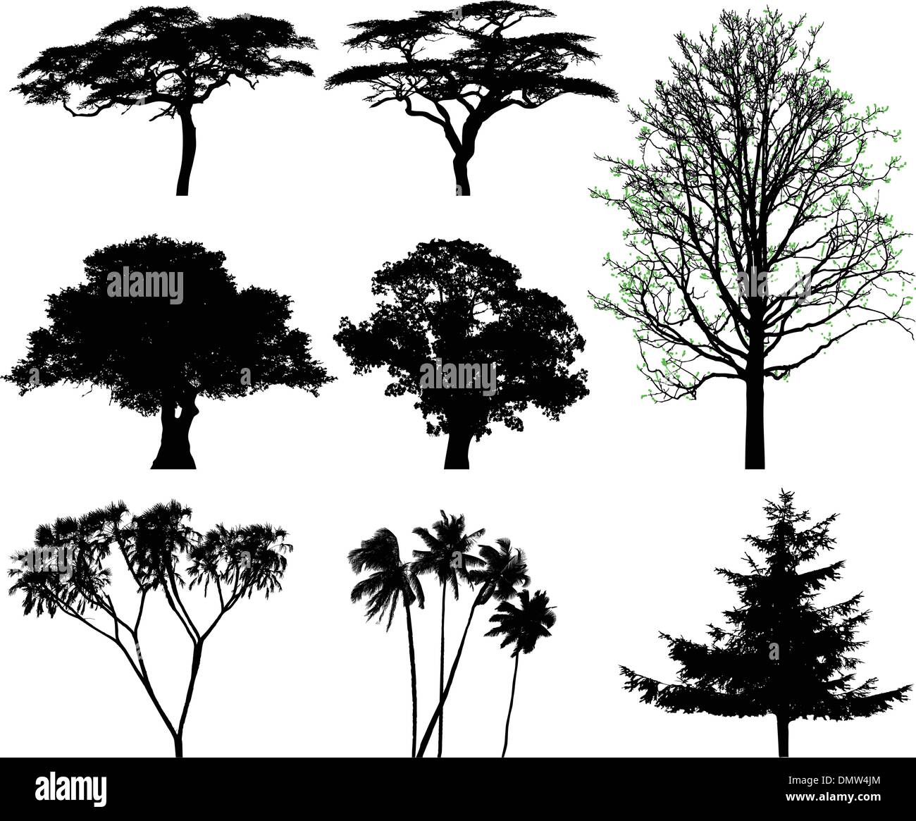 Arbres - vector set Image Vectorielle Stock - Alamy