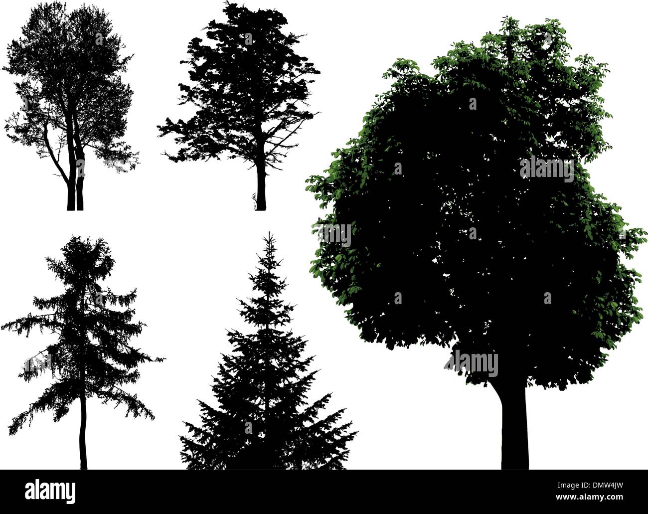 Arbres - vector set Image Vectorielle Stock - Alamy