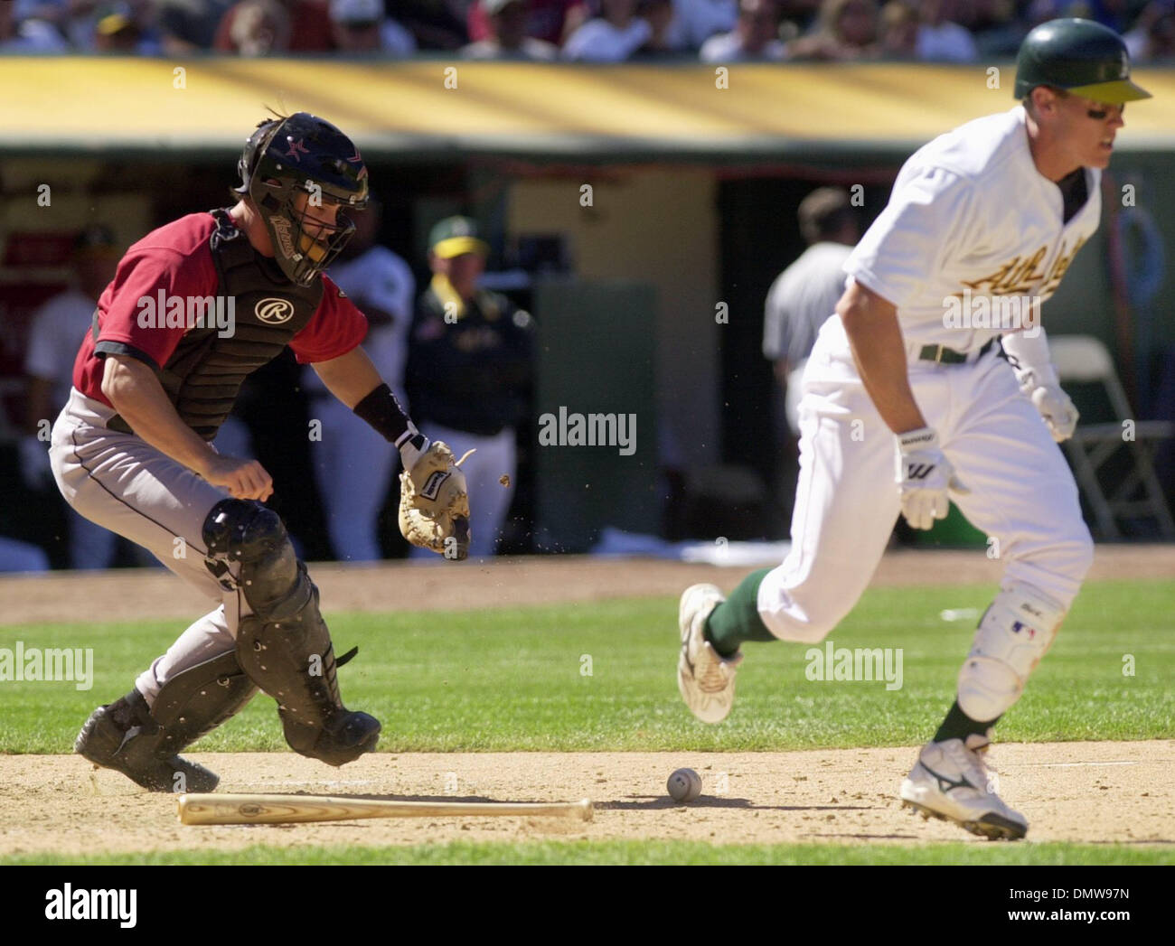 Adam piatt Banque de photographies et d’images à haute résolution - Alamy