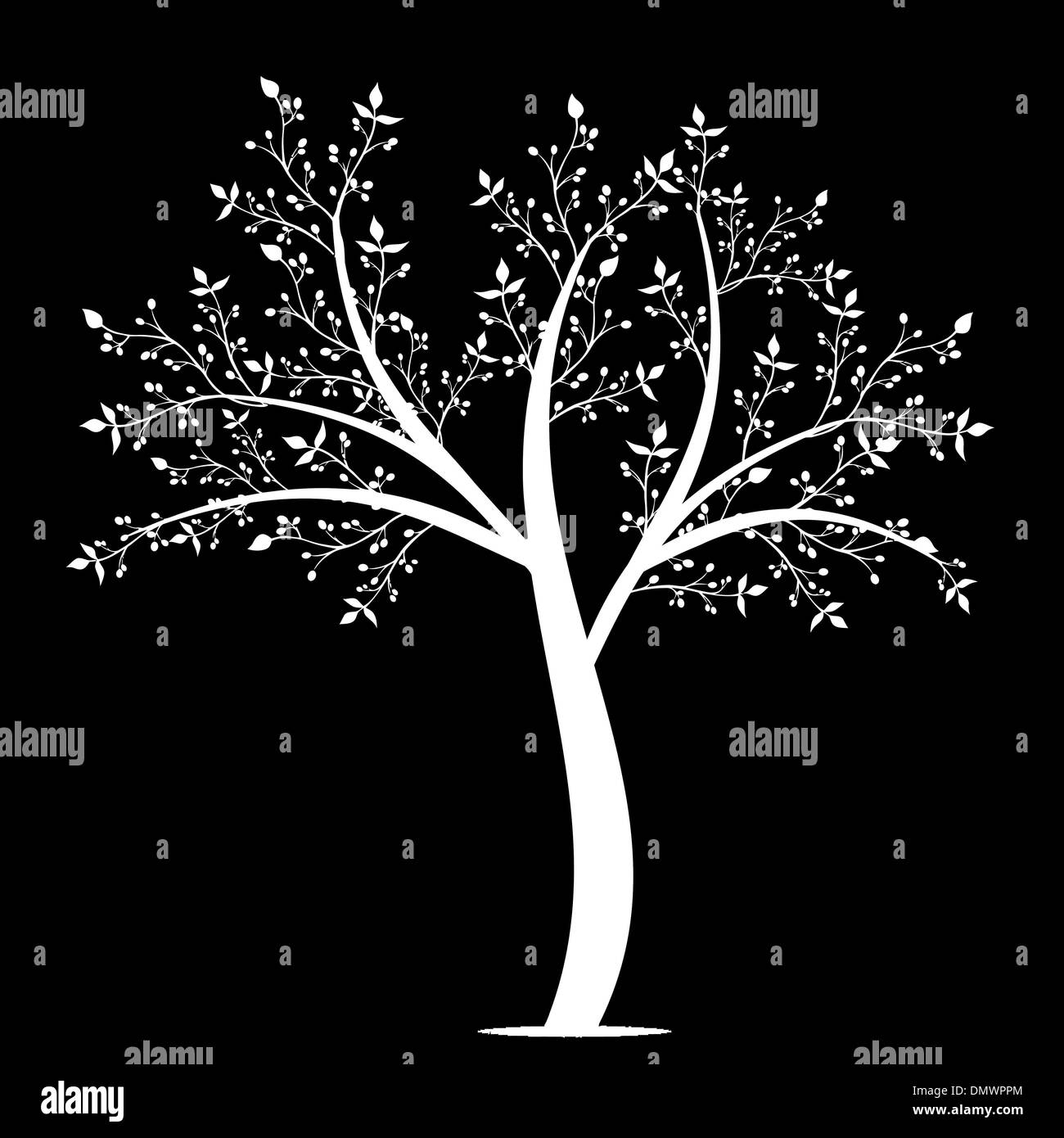 Olive tree vector vectors Banque d'images noir et blanc - Alamy
