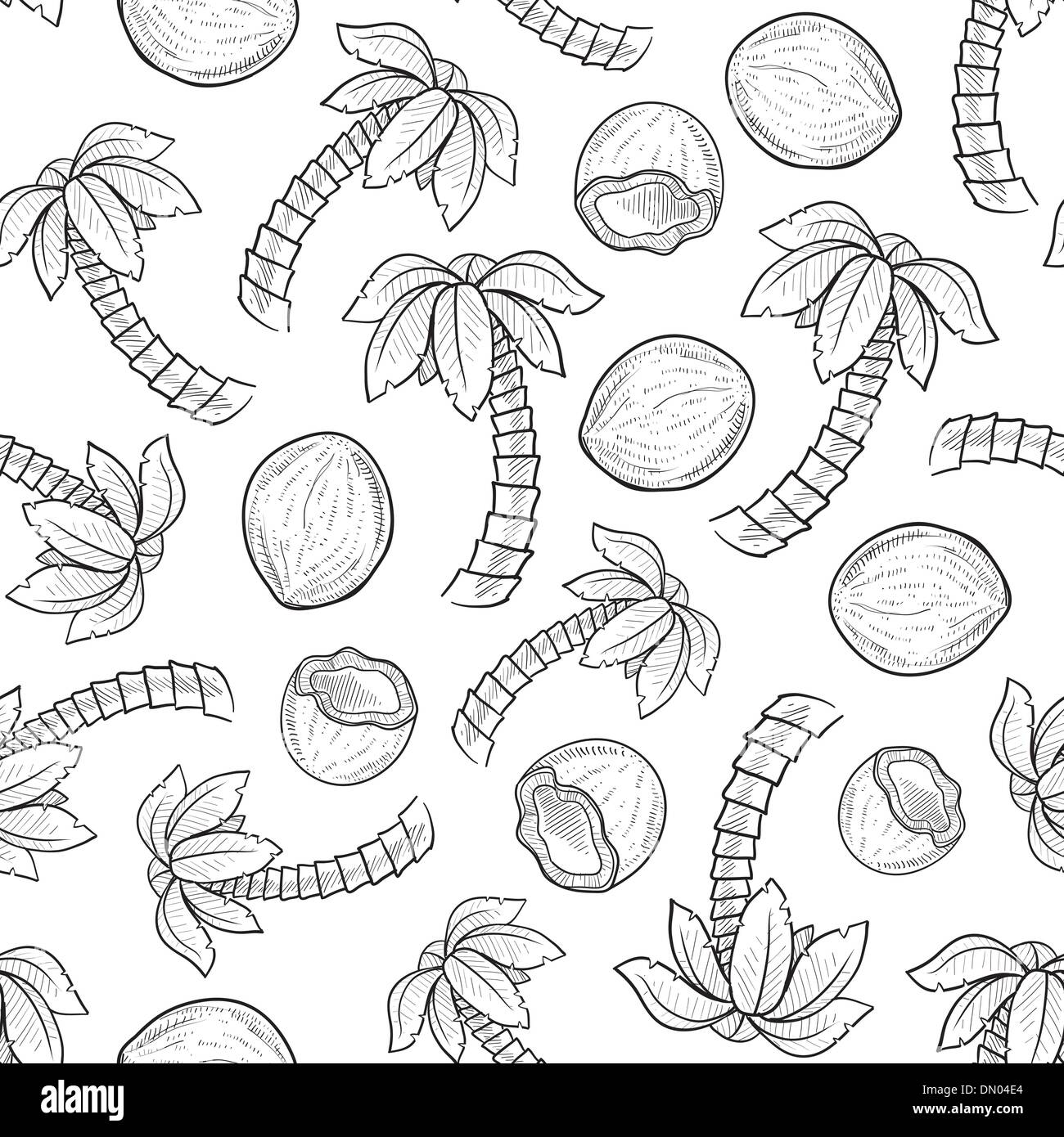 Coconut tree drawing Banque de photographies et d’images à haute ...