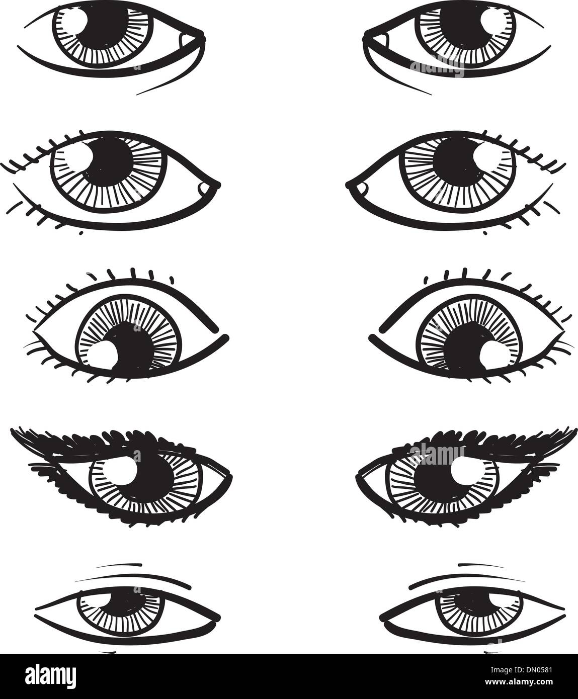 Assortiment de lentilles Banque d'images vectorielles - Alamy