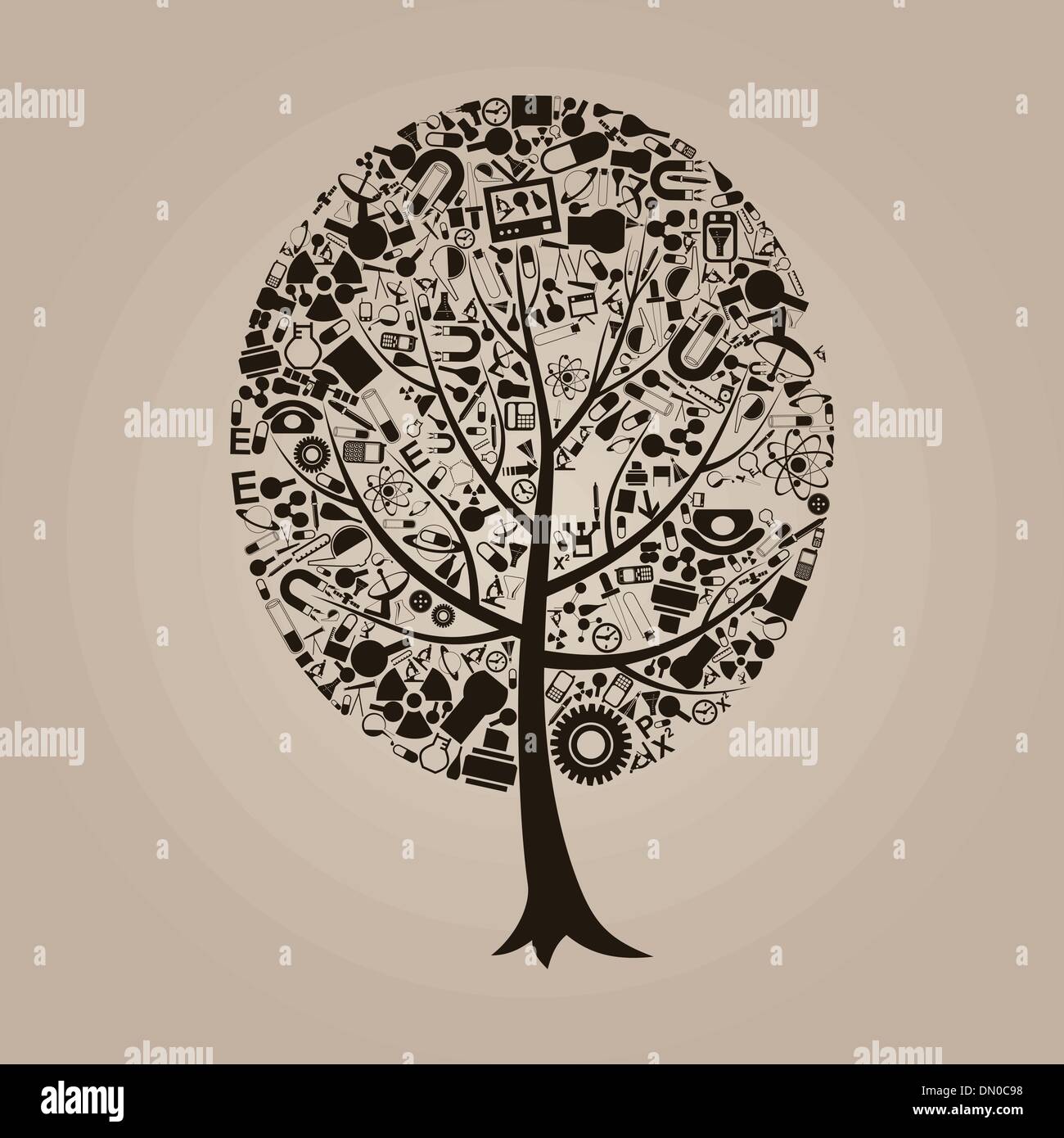 Arbre bois anatomie Banque d'images vectorielles - Alamy