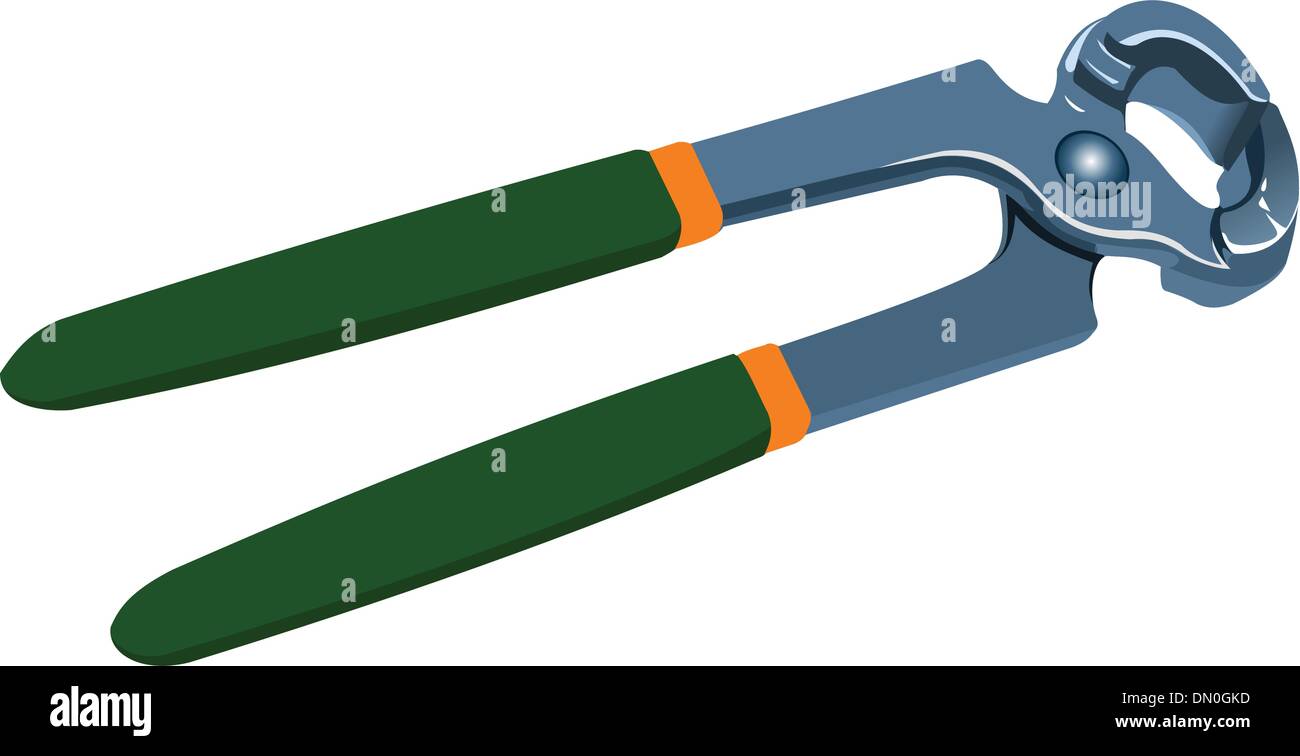 Une paire de pinces sur fond blanc. Vector illustration Image ...