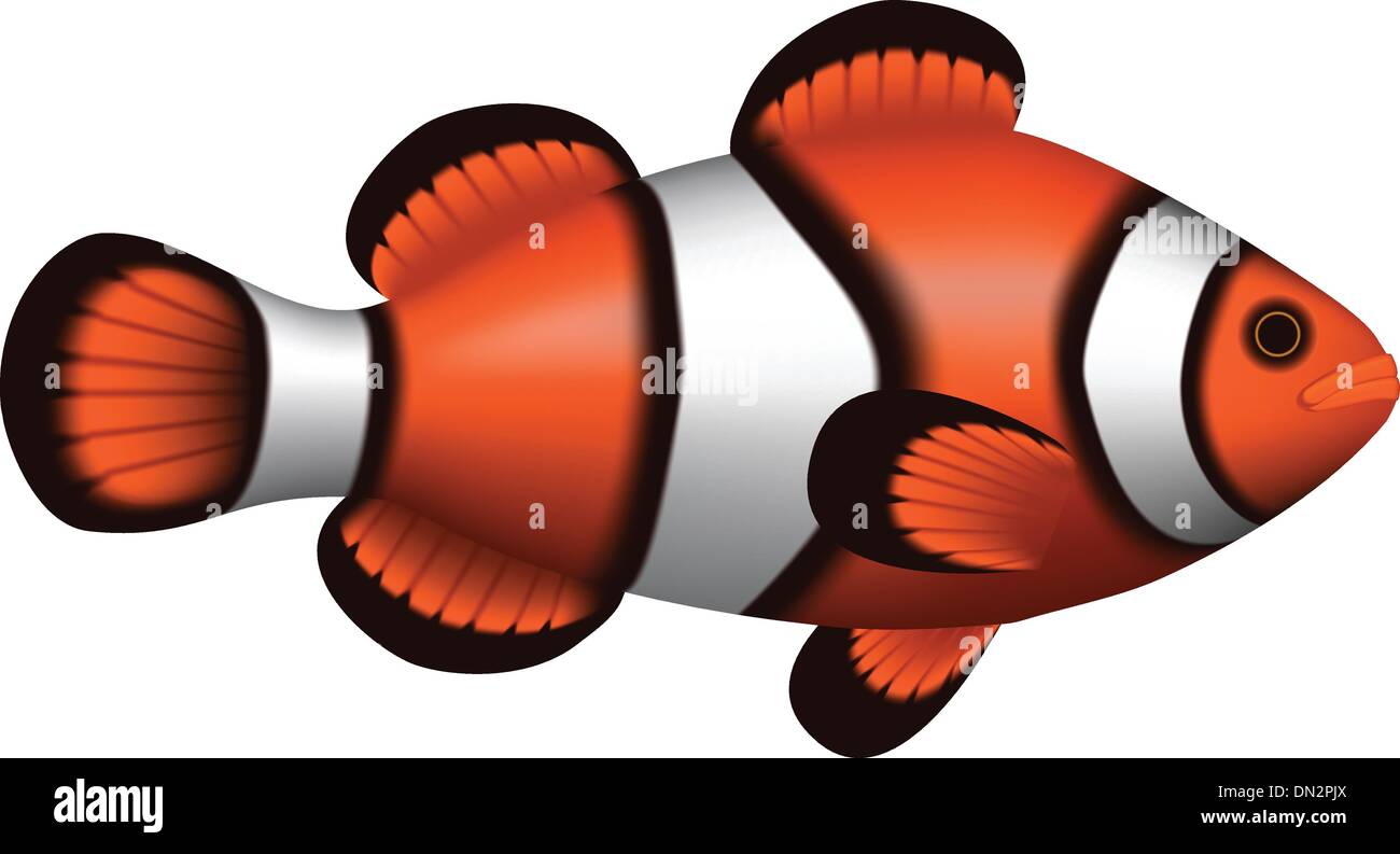 Clownfish cartoon Banque d'images vectorielles - Alamy