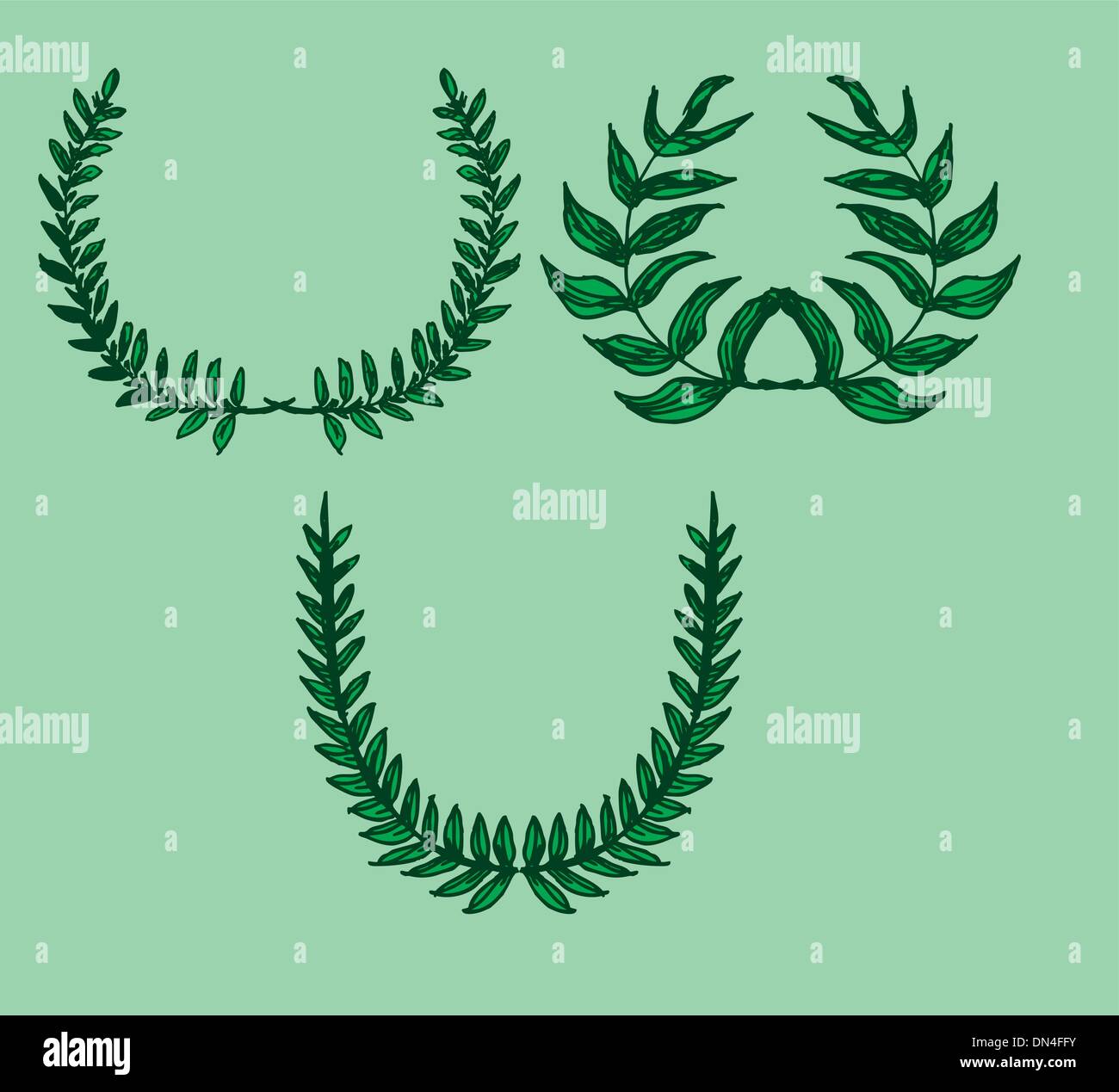 Vecteur de feuille de couronne de laurier Banque de photographies et d’images à haute résolution ...