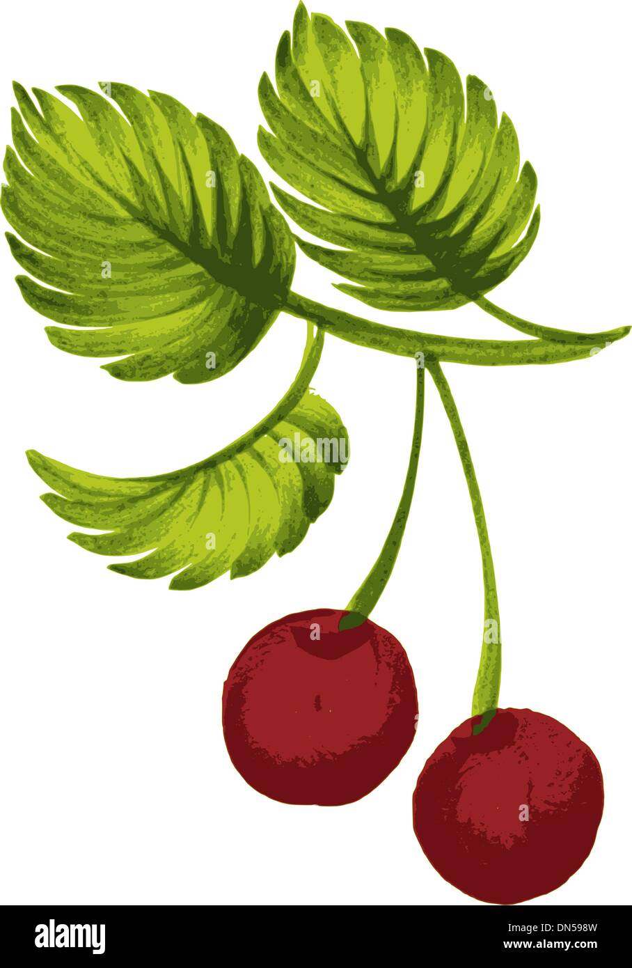 Texture cerise Banque d'images vectorielles - Alamy