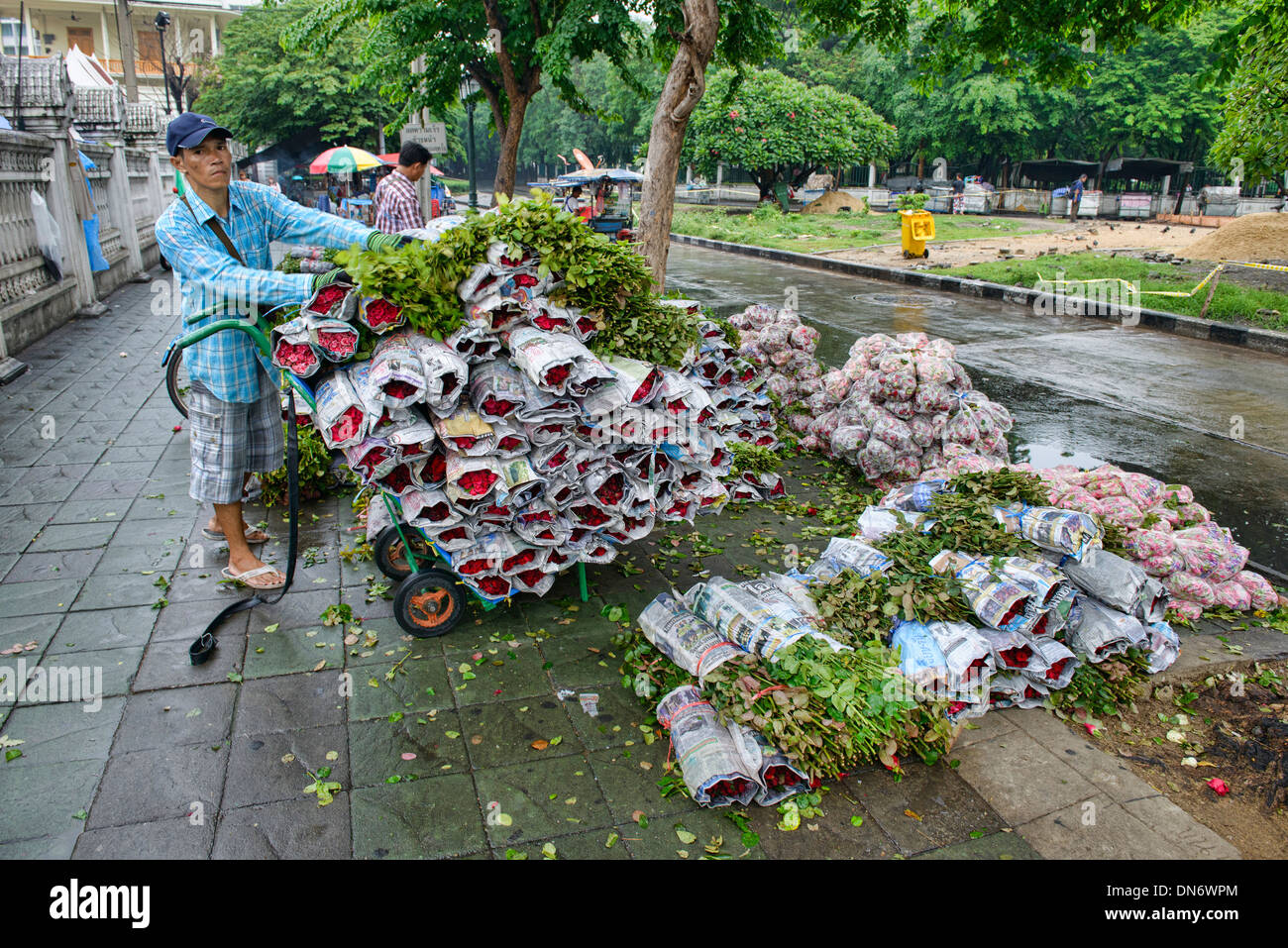 Pak klong Banque de photographies et d’images à haute résolution - Alamy
