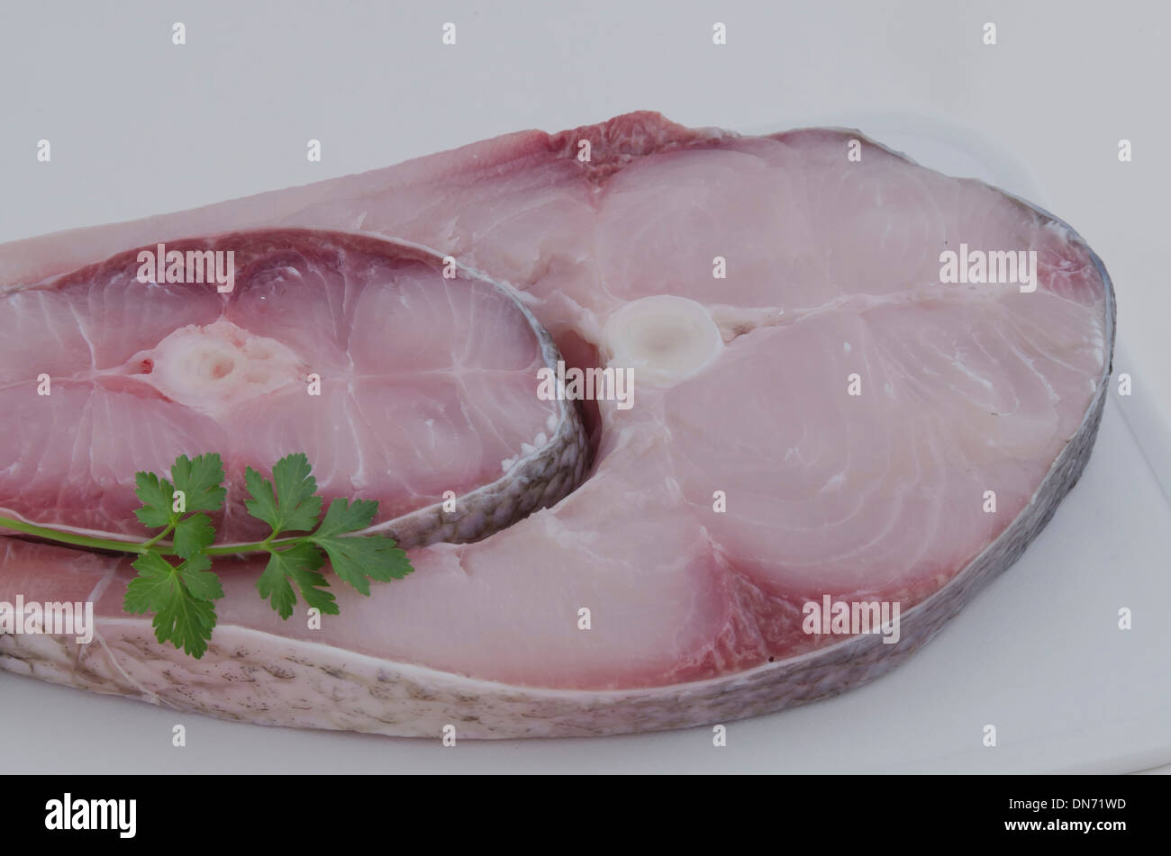 Poisson rond Banque de photographies et d’images à haute résolution - Alamy