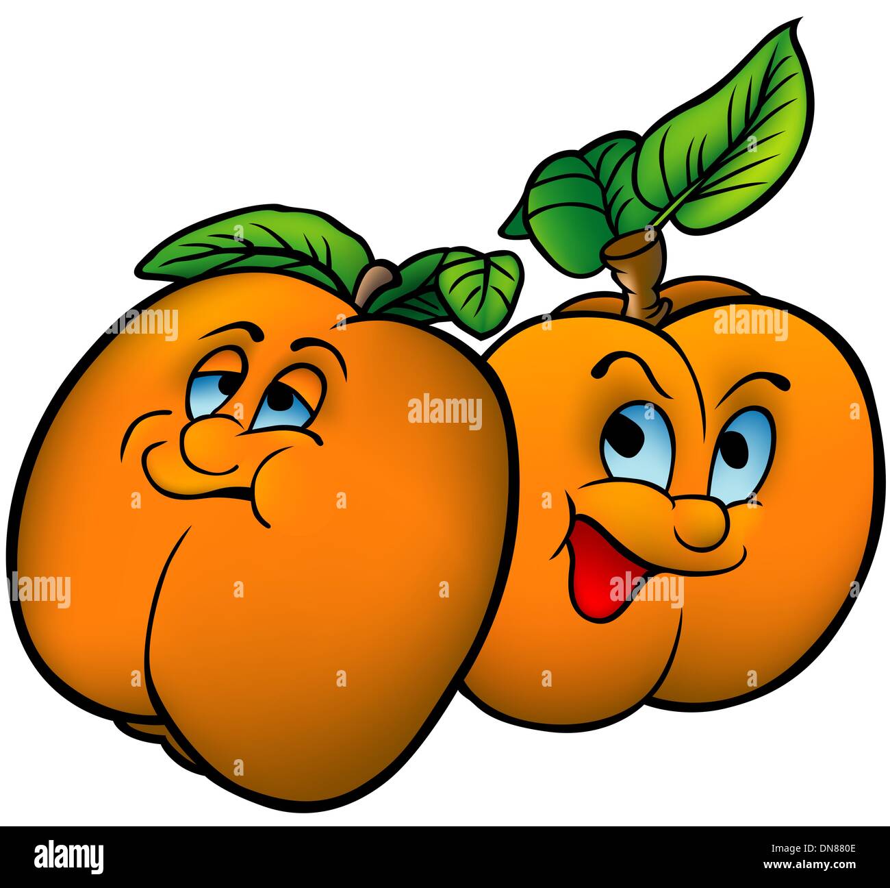 Abricots cartoon Banque d'images vectorielles - Alamy