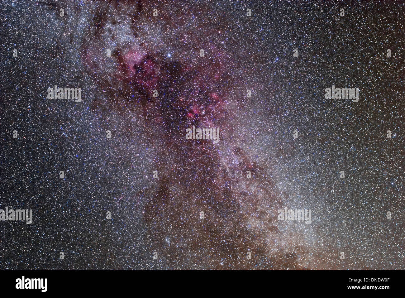Coalsack nebula Banque de photographies et d’images à haute résolution ...