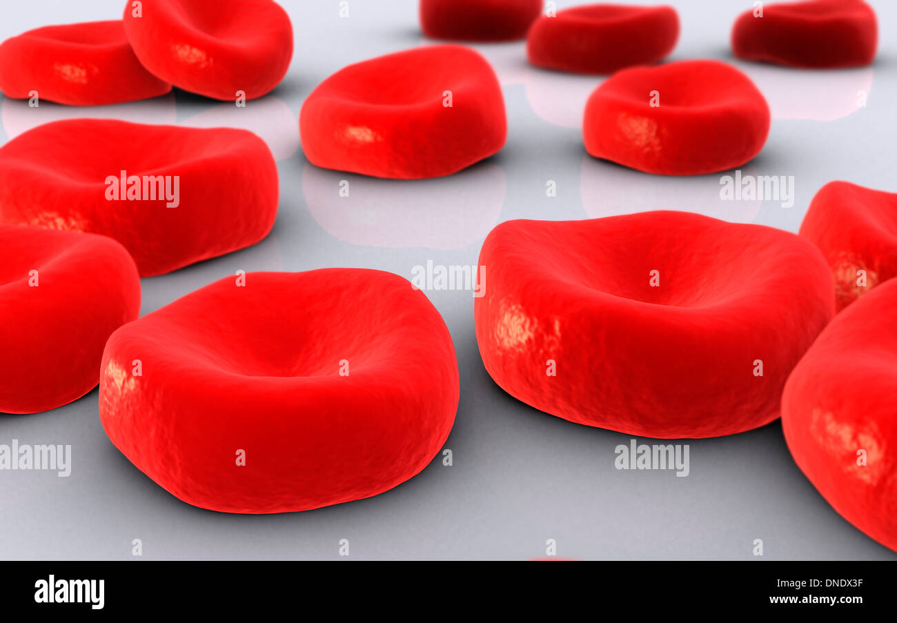 Red blood cells Banque de photographies et d’images à haute résolution ...