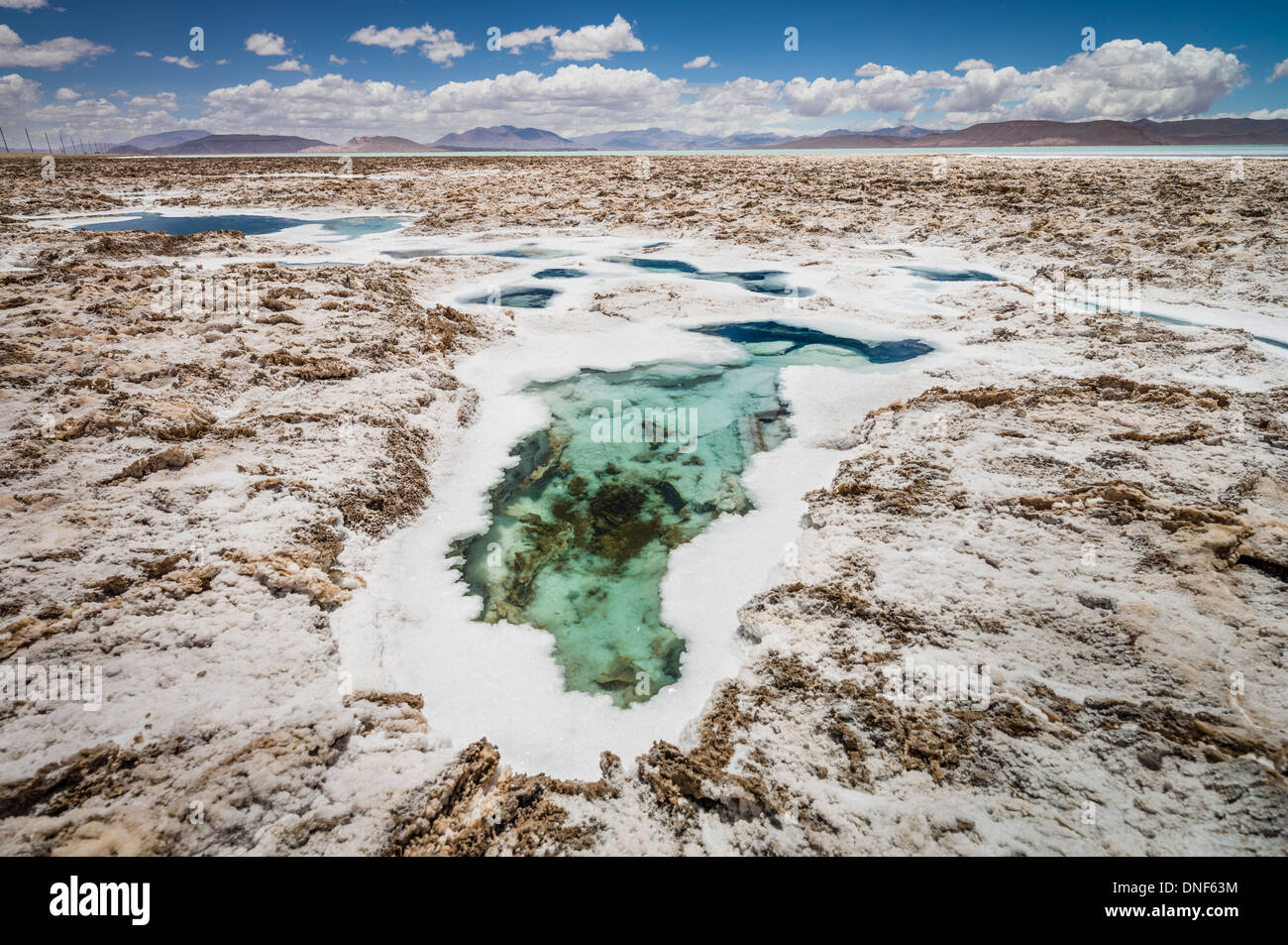 Salar del hombre muerto Banque de photographies et d’images à haute ...