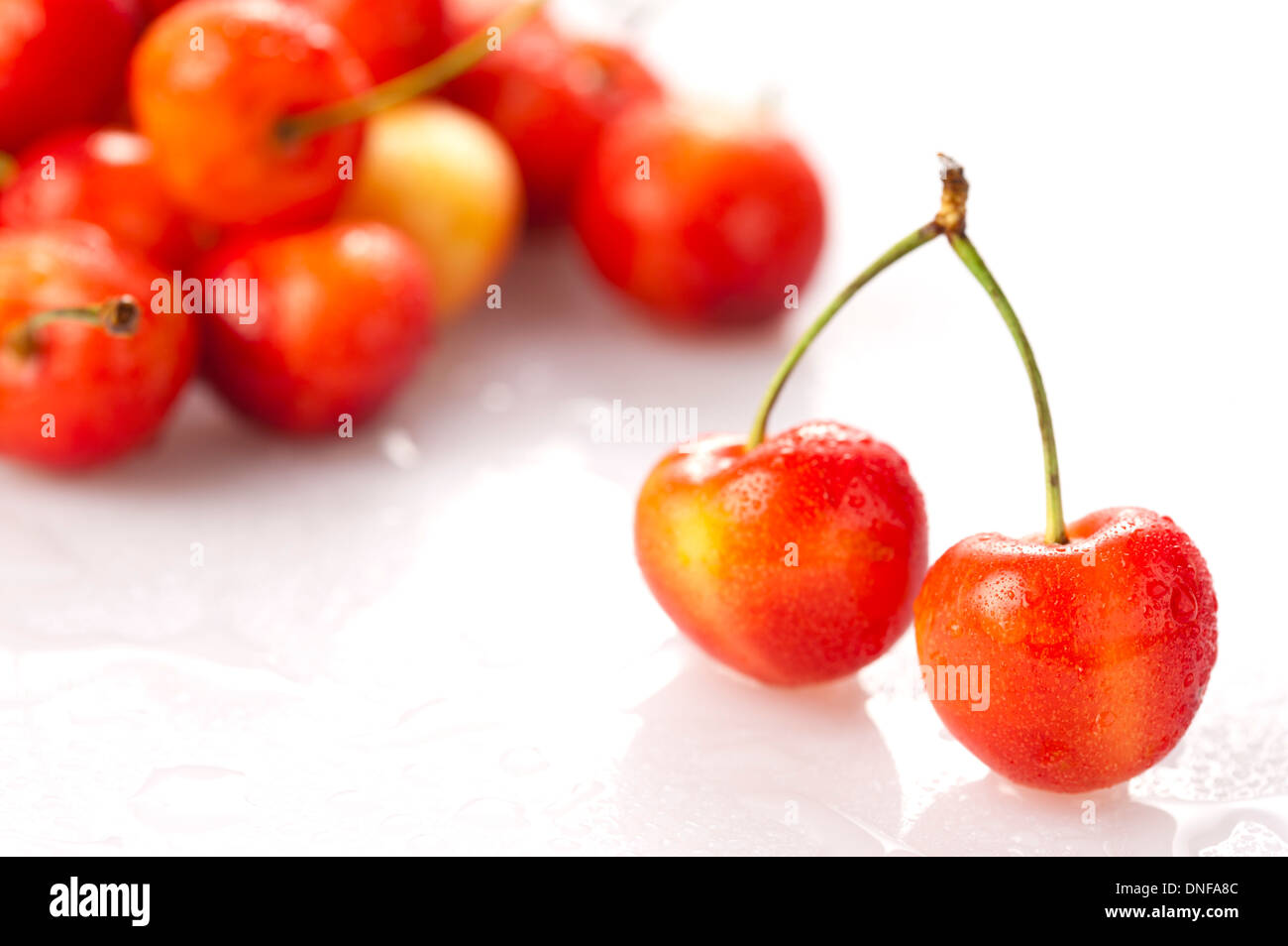 Cerisier fruit Banque de photographies et d’images à haute résolution ...
