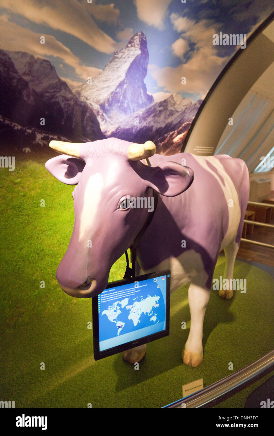 Milka cow Banque de photographies et d’images à haute résolution - Alamy