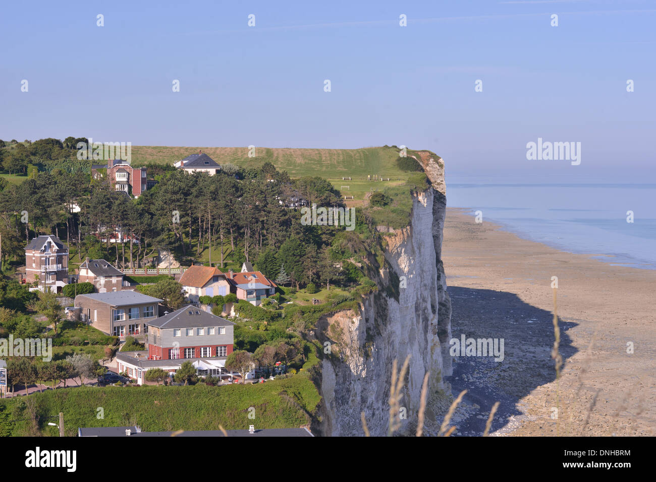 Bois de cise Banque de photographies et d’images à haute résolution - Alamy