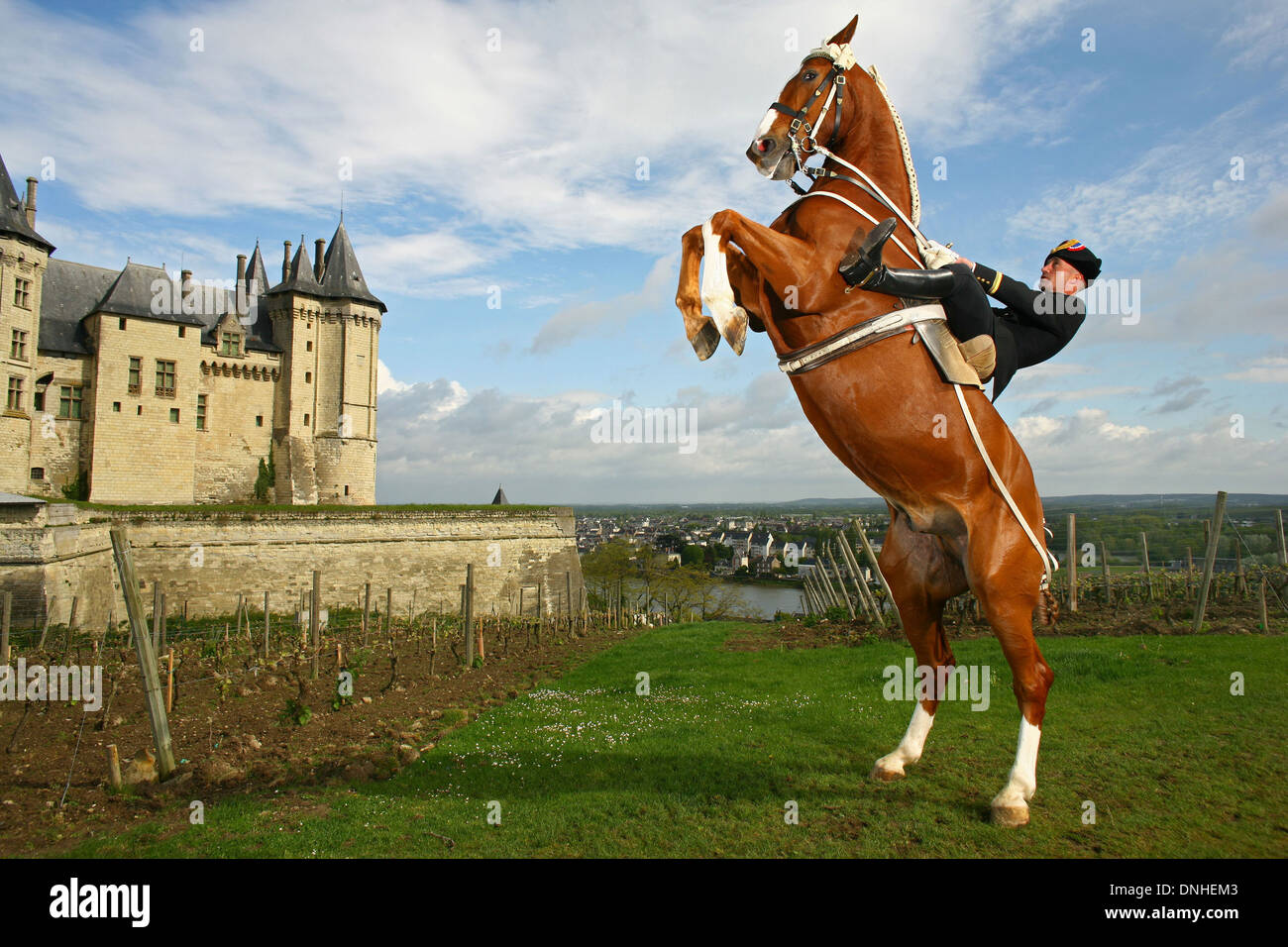 VINCENT POTTIER, Horseman, AVEC L'ÉCOLE NATIONALE D'Equitation (CADRE ...