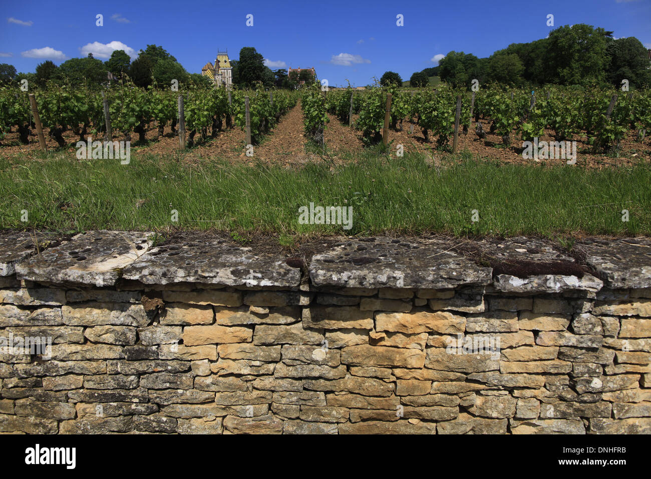 Aloxe corton chateau Banque de photographies et d’images à haute ...