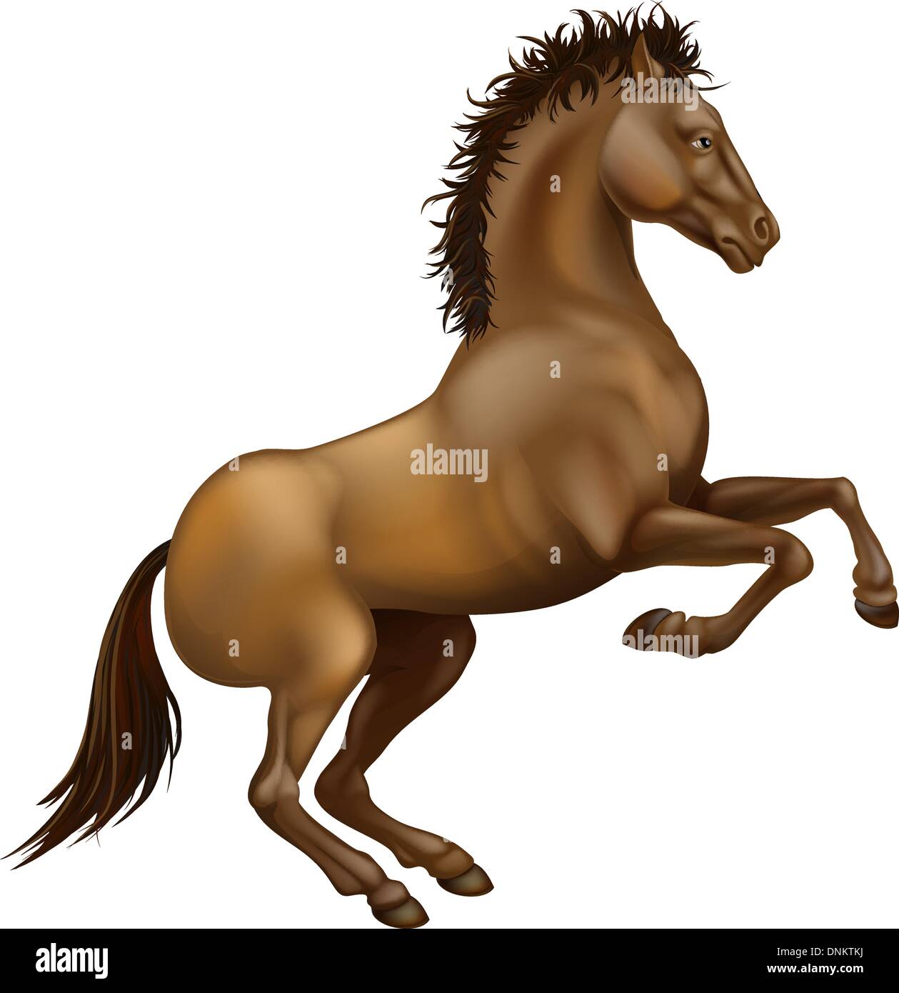 Arabian horse chestnut stallion rearing Banque d'images vectorielles ...