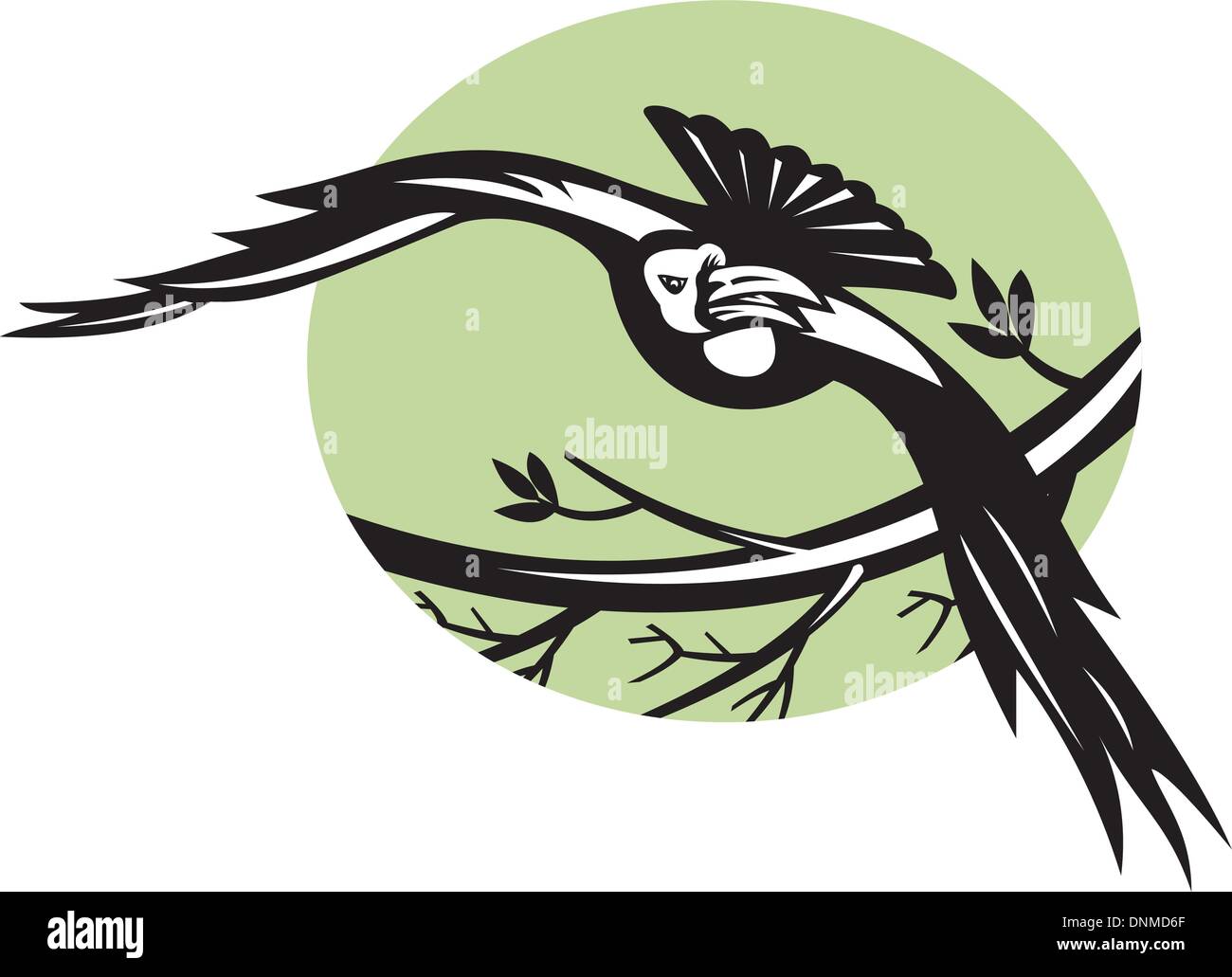 Arbre volant Banque d'images vectorielles - Alamy