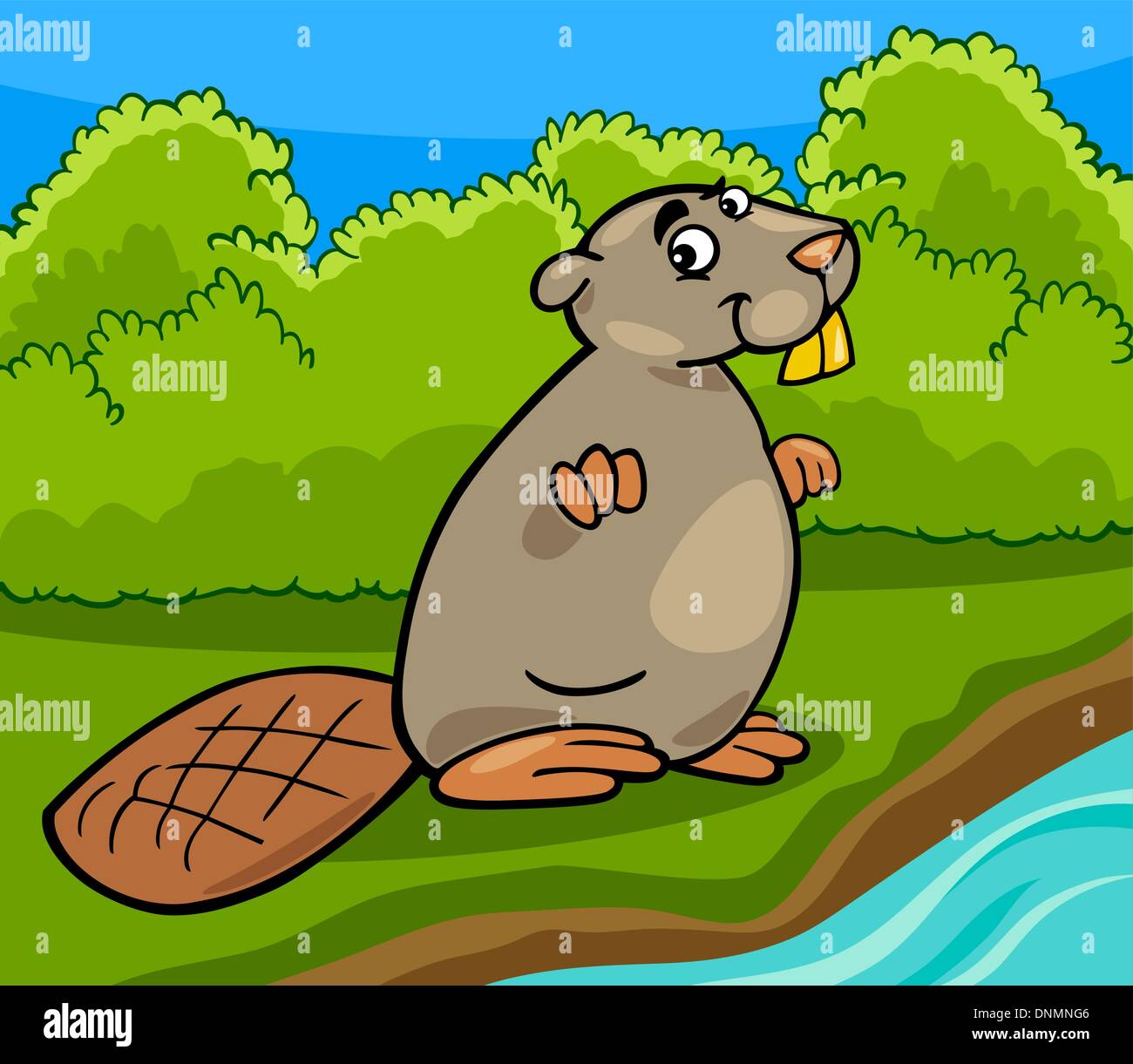 Beaver dam illustration Banque d'images vectorielles - Alamy