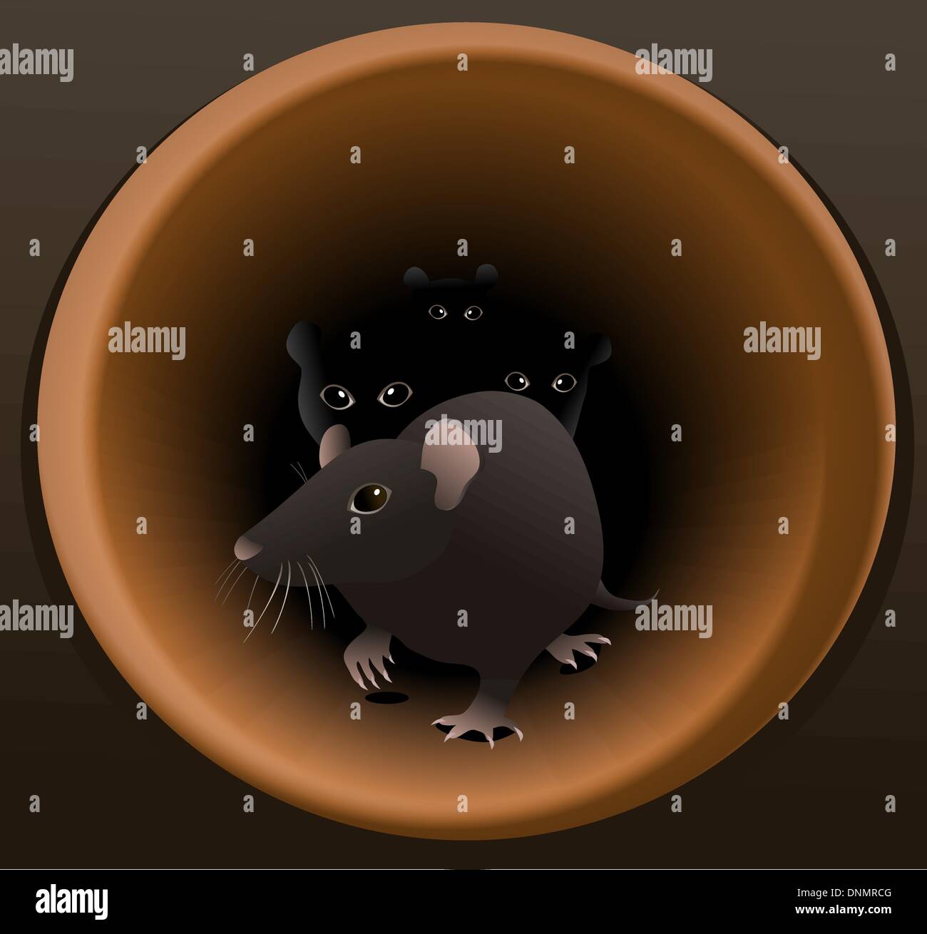 Garbage rats Banque d'images vectorielles - Alamy