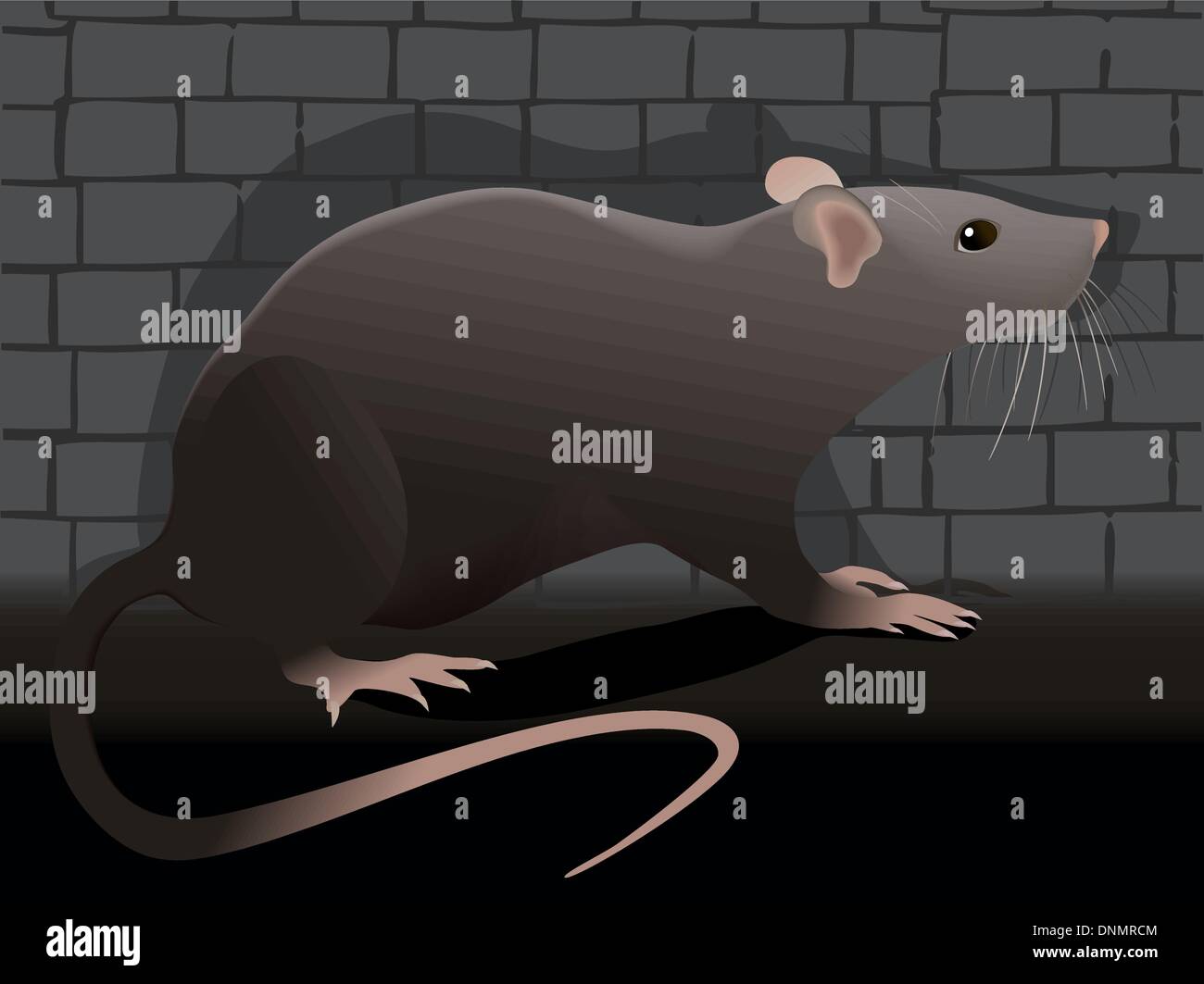 Garbage rats Banque d'images vectorielles - Alamy