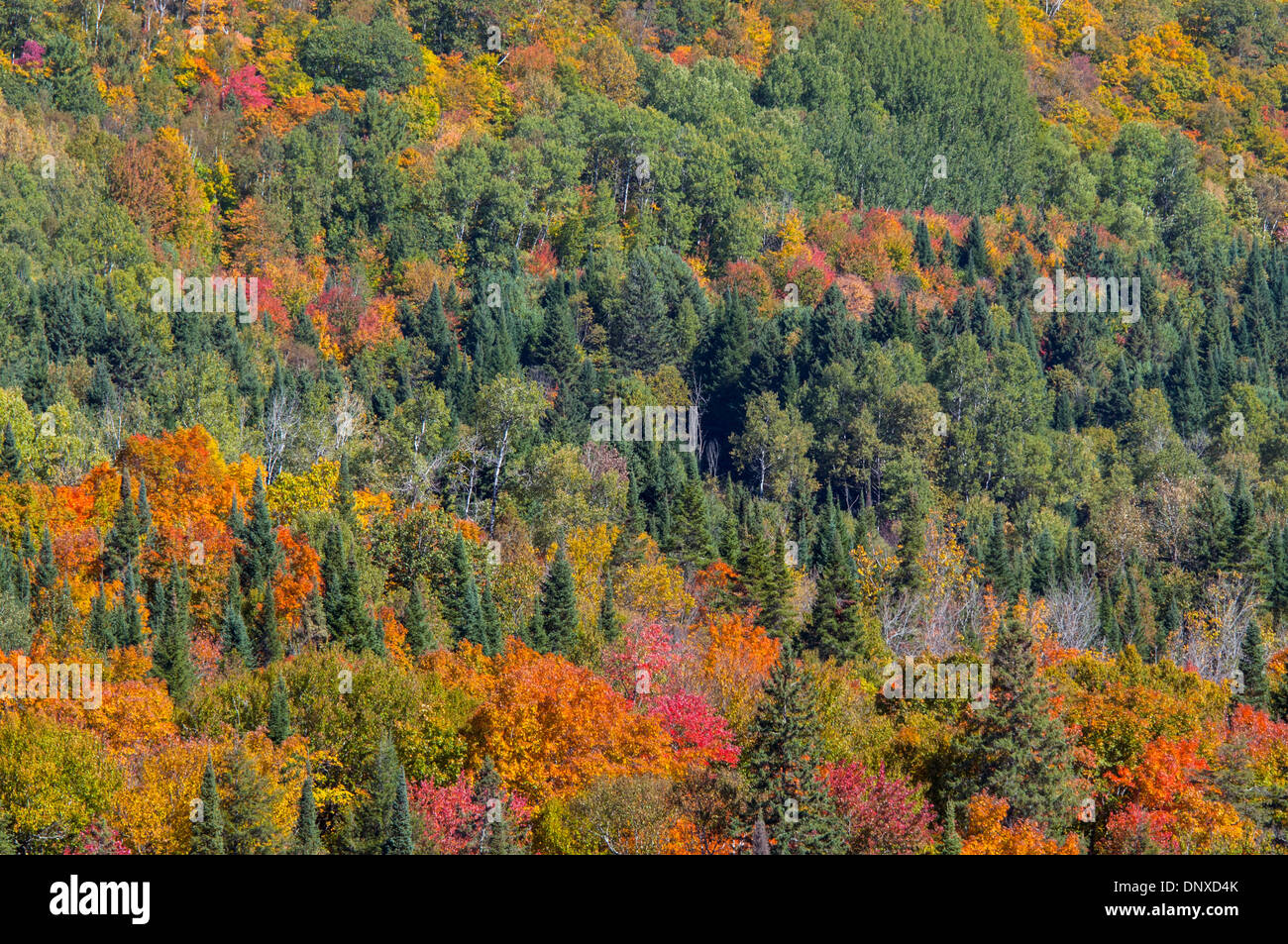 Paysage d'automne laurentides québec Banque de photographies et d ...