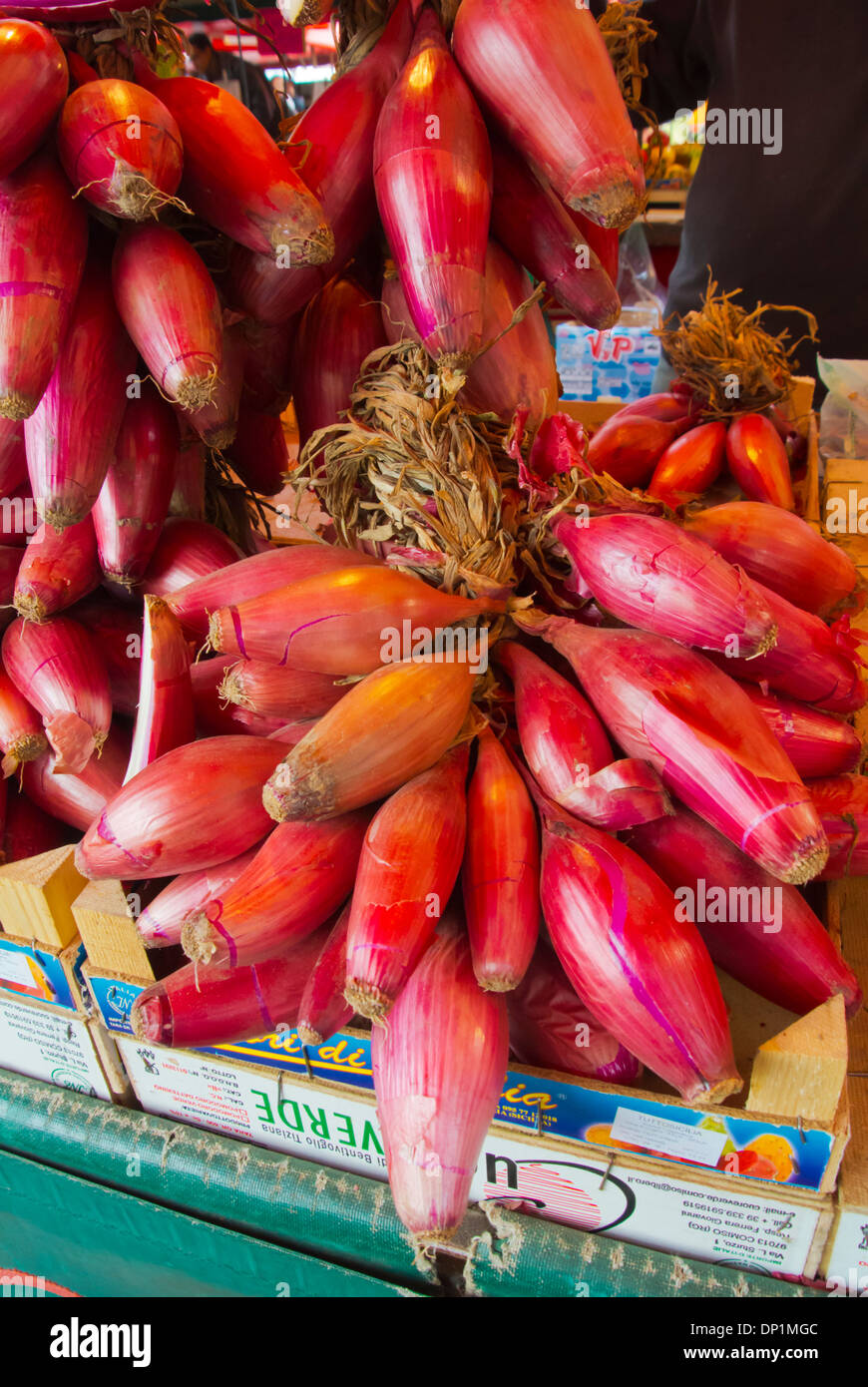échalote rouge Banque de photographies et d’images à haute résolution ...
