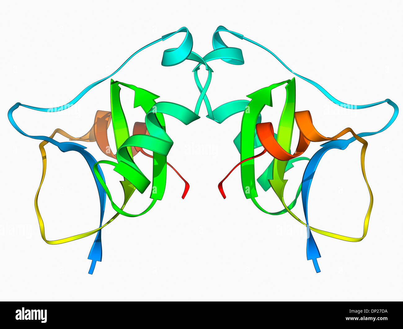 Toxine alpha Banque de photographies et d’images à haute résolution - Alamy