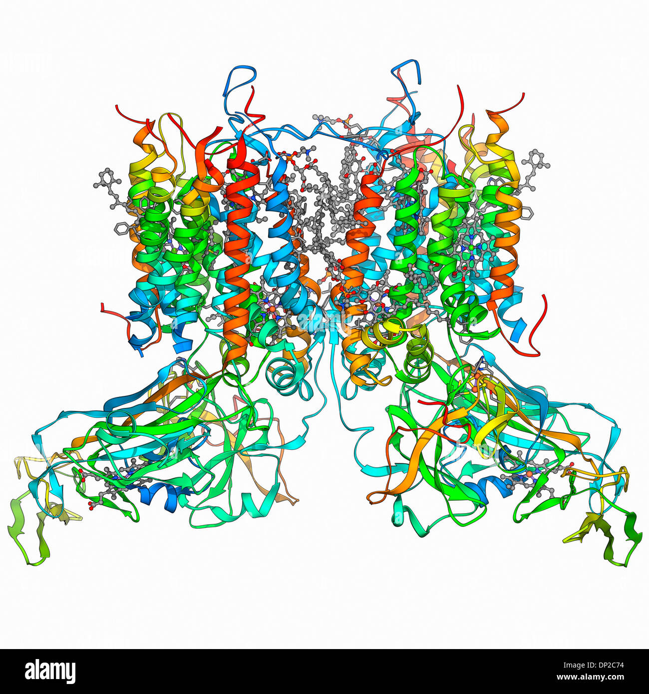 Complexe cytochrome b6f Banque de photographies et d’images à haute ...