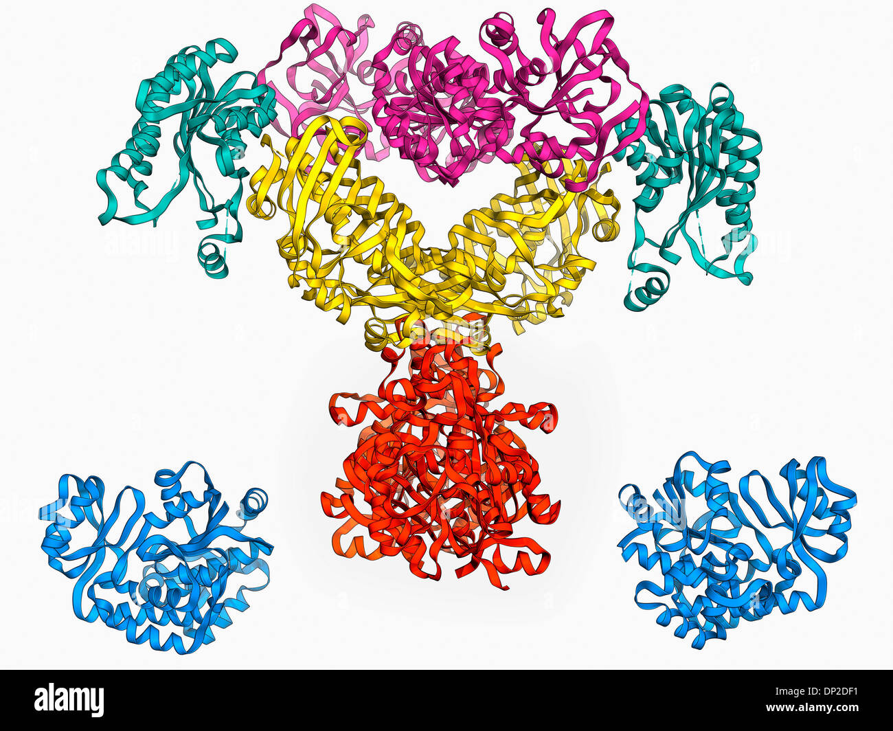 Acide gras Banque de photographies et d’images à haute résolution - Alamy