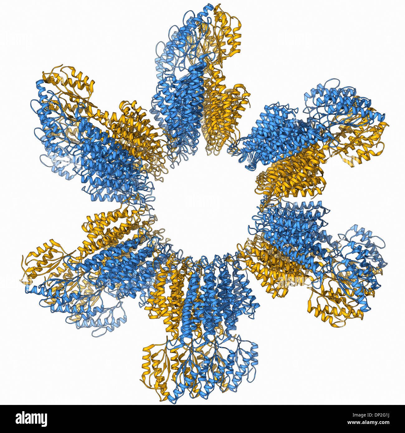 Ion de zinc Banque de photographies et d’images à haute résolution - Alamy