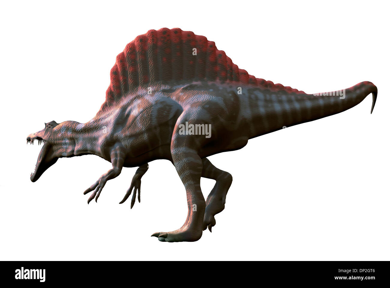Spinosaurus dinosaur Banque de photographies et d’images à haute résolution - Alamy