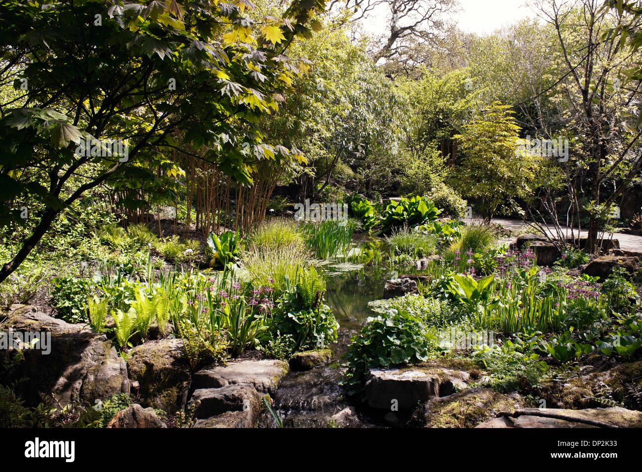 Ruisseau de jardin Banque de photographies et d’images à haute résolution - Alamy