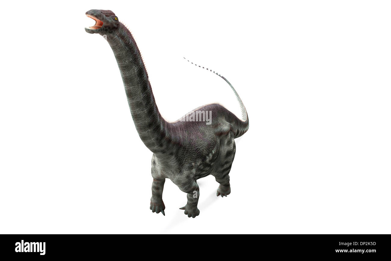 Apatosaure de dinosaure Banque de photographies et d’images à haute ...