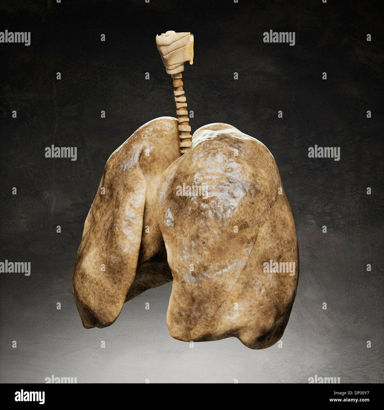 Fumeurs De Poumons Banque d'image et photos - Alamy
