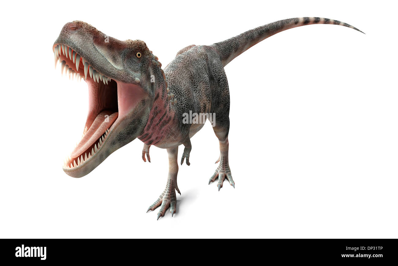 Tarbosaurus illustration Banque de photographies et d’images à haute ...