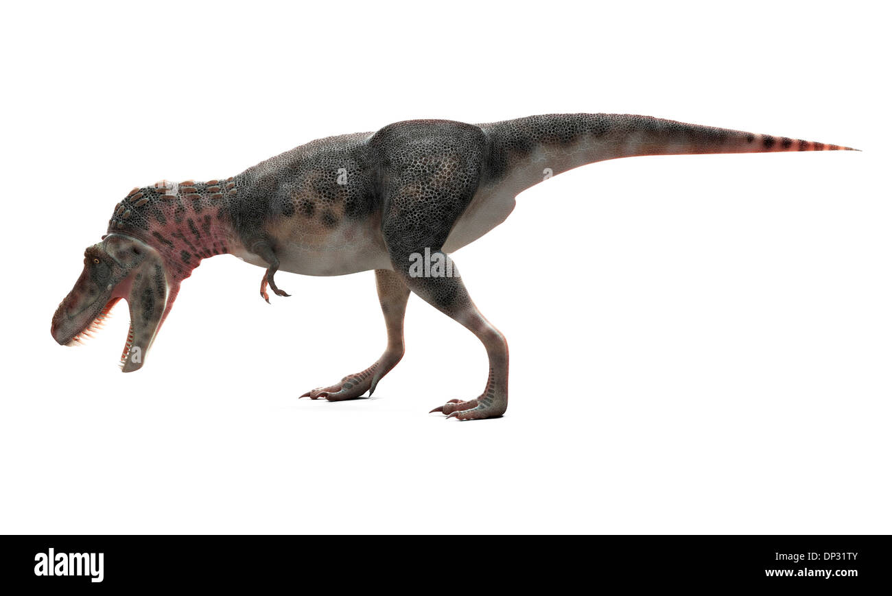 Tarbosaurus illustration Banque de photographies et d’images à haute ...