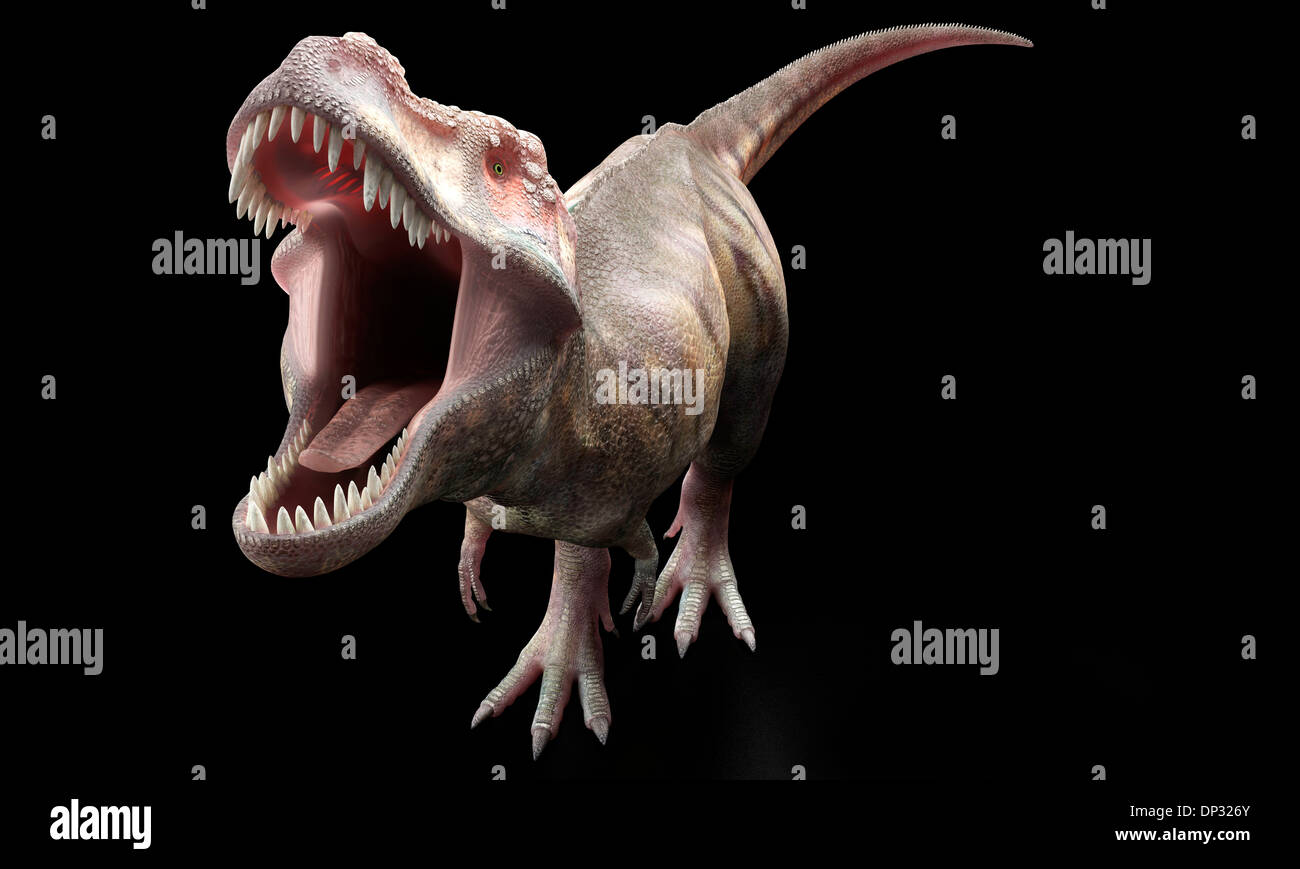 T rex Banque de photographies et d’images à haute résolution - Alamy