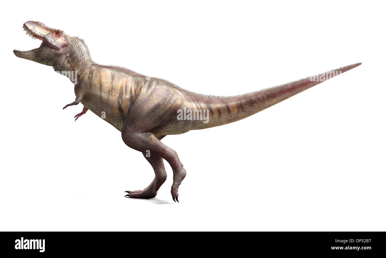 Side view tyrannosaurus rex dinosaur Banque de photographies et d’images à haute résolution ...